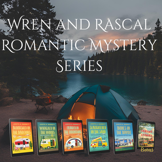 Judith A. Barrett Books – Barrett Book Shop