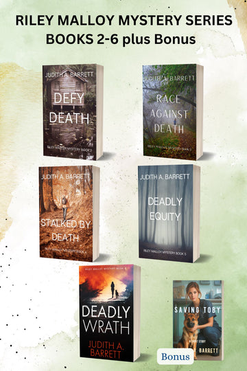 Judith A. Barrett Books – Barrett Book Shop