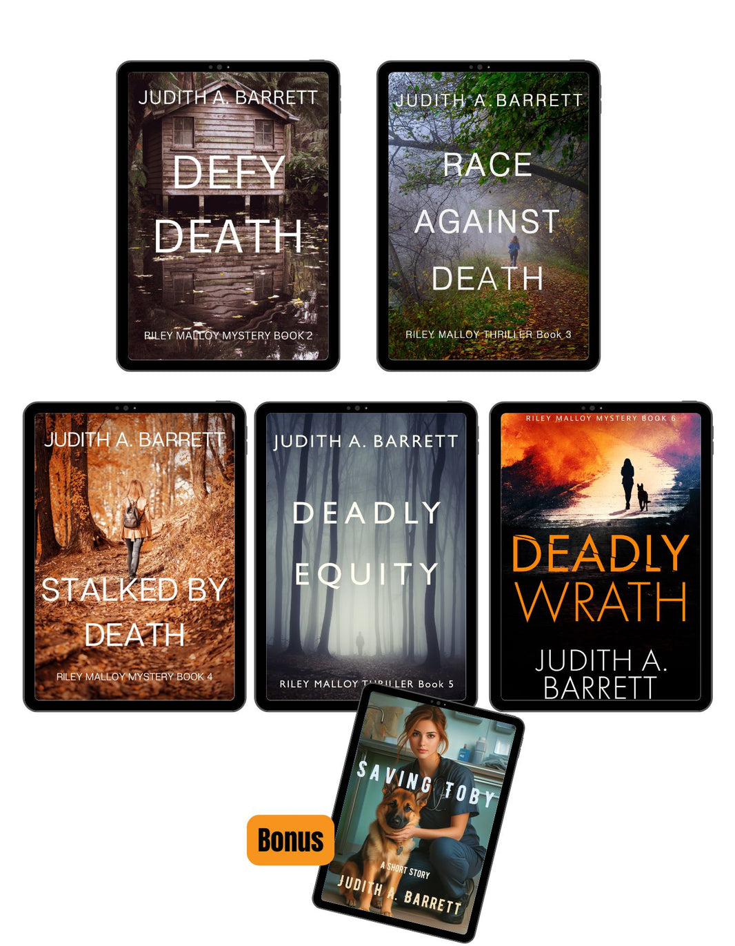 Judith A. Barrett Books – Barrett Book Shop