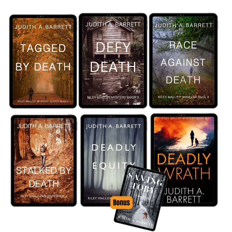 Judith A. Barrett Books – Barrett Book Shop