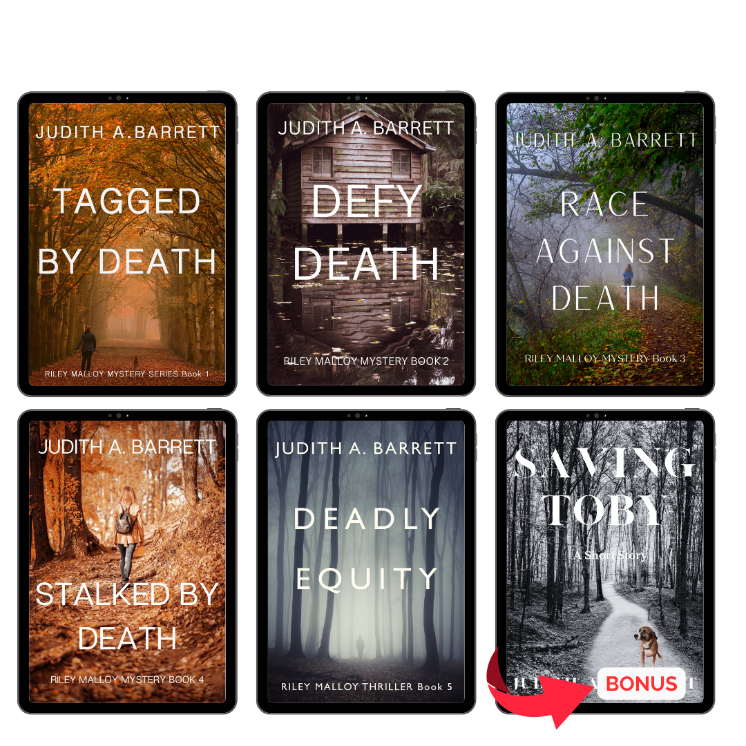 Judith A. Barrett Books – Barrett Book Shop