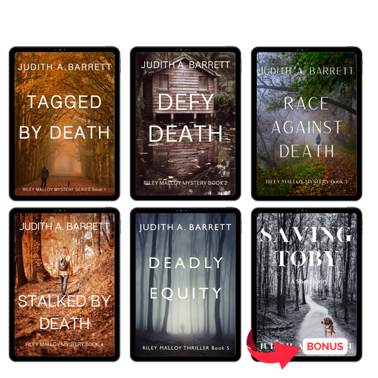 Judith A. Barrett Books – Barrett Book Shop